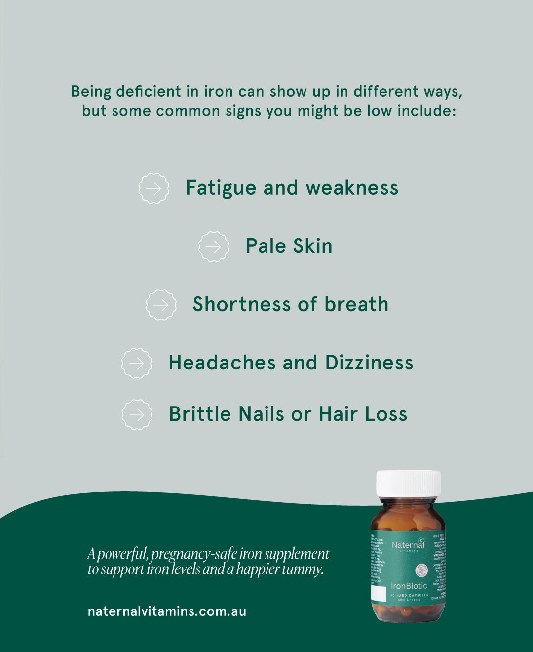 IronBiotic Natural Iron Supplements | Iron Bisglcyinate with probiotic ...